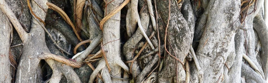 Experienced Root Barrier Installers in the DFW and San Antonio